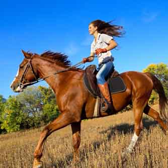 Habits That Might Affect Your Riding