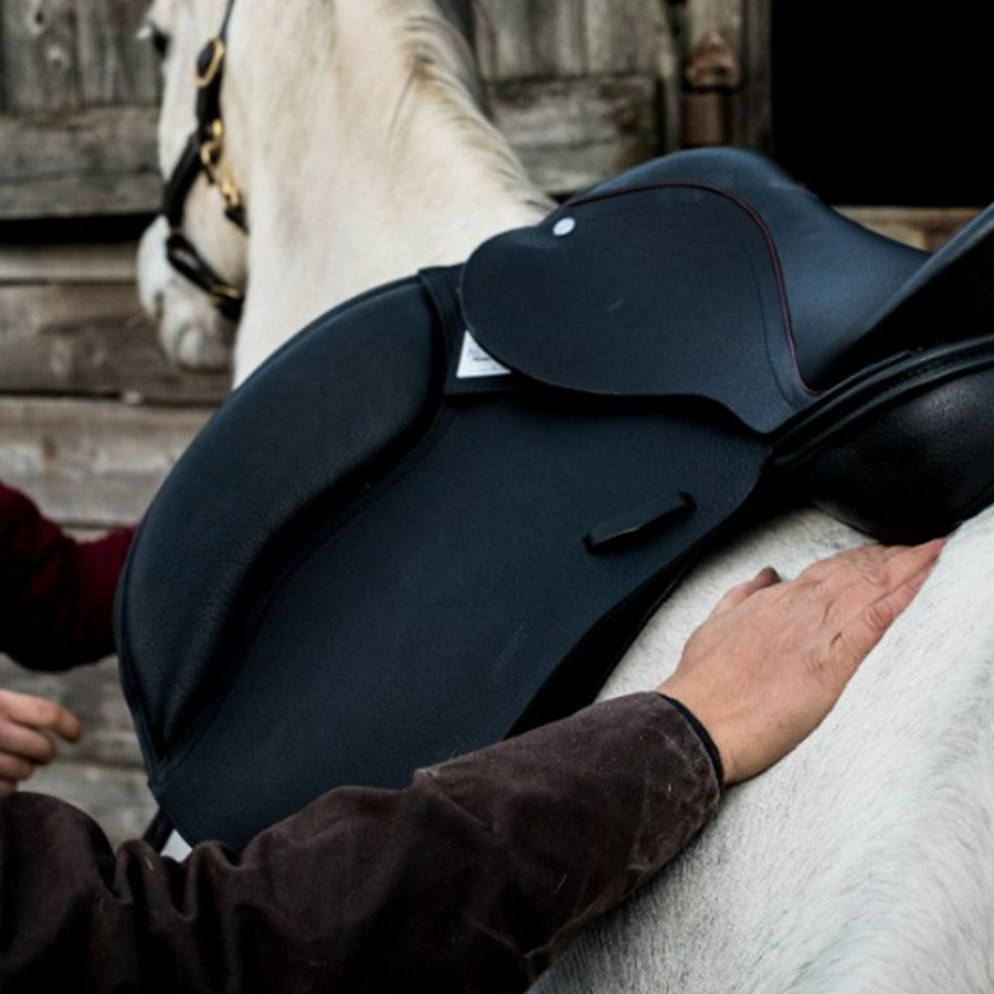 A Brief History Of The Saddle & Stirrups