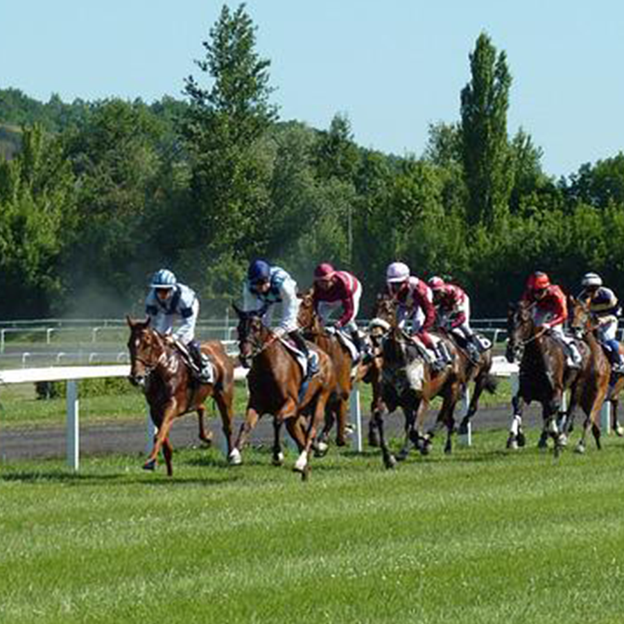 Biggest Horse Events in The UK | Cavaletti