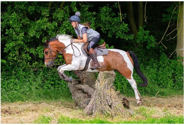Why Choose Cavaletti for Your Dressage Saddle?